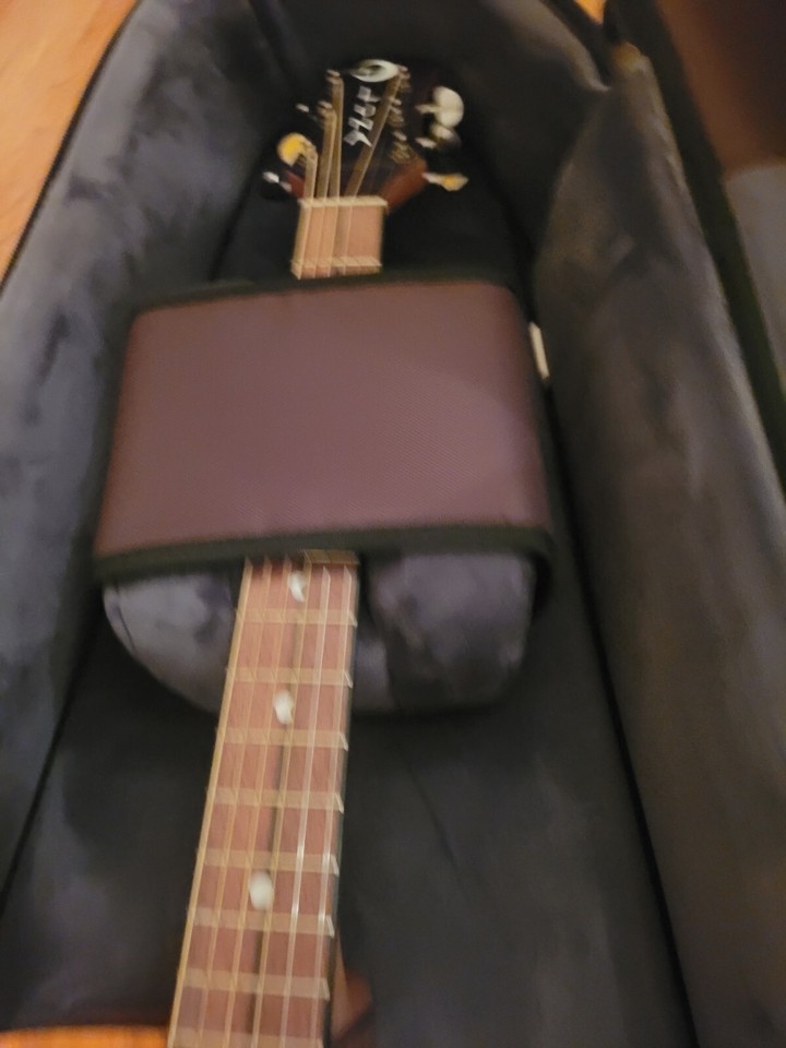 Luna Gypsy Exotic Spalt Maple Acoustic ELECTRIC Guitar | eBay