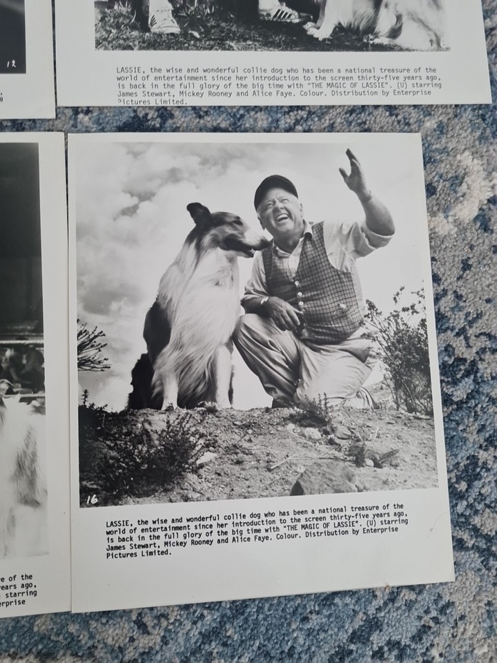 Lassie film stills lobby cards UK glossy x 4 | eBay UK