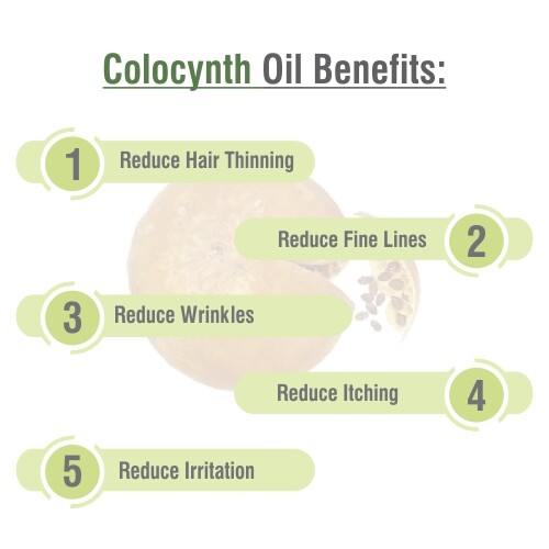 Colocynth (Citrullus colocynth) 100% Pure & Natural Essential oil ...
