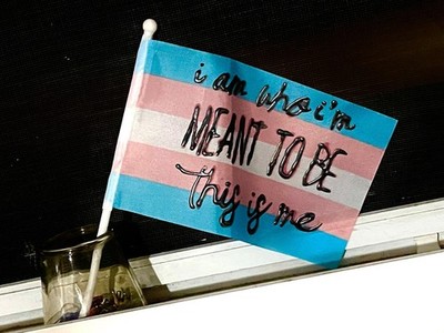 Trans transgender trans Pride flag lgbt gay parade tiny mini stick fem ...