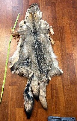 Argentinian Gray Fox Pelt #1 Quality Real Fox Fur Hide Garment Tanned ...