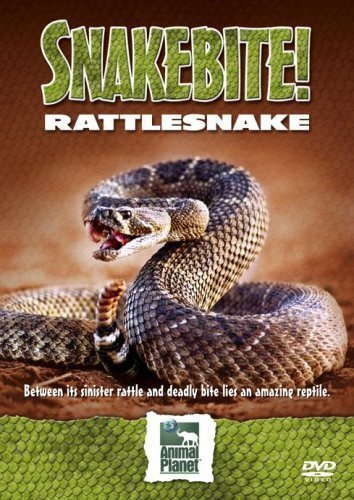 Snakebite: Rattlesnake [DVD-R (Print on Demand)] DVD NEUF 5023093054007 | eBay