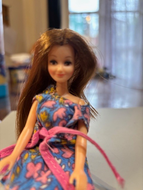 Vintage Pippa doll Rosemary | eBay UK