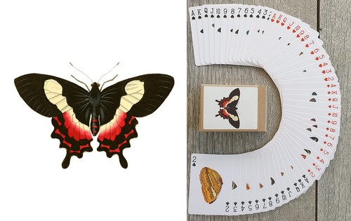Playing Cards (Poker Deck 54 Cards) BEAUTIFUL BUTTERFLIES Moths Nature ...