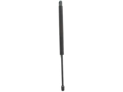 Tailgate Strut For 2001-2005 Pontiac Aztek 2003 2004 2002 GJ561MT | eBay