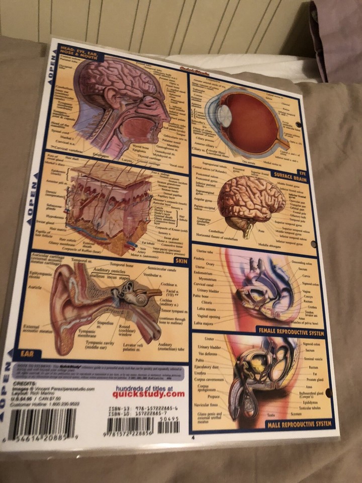 ANATOMY QUICK STUDY Academic Comprehensive Guide Laminated Charts | eBay