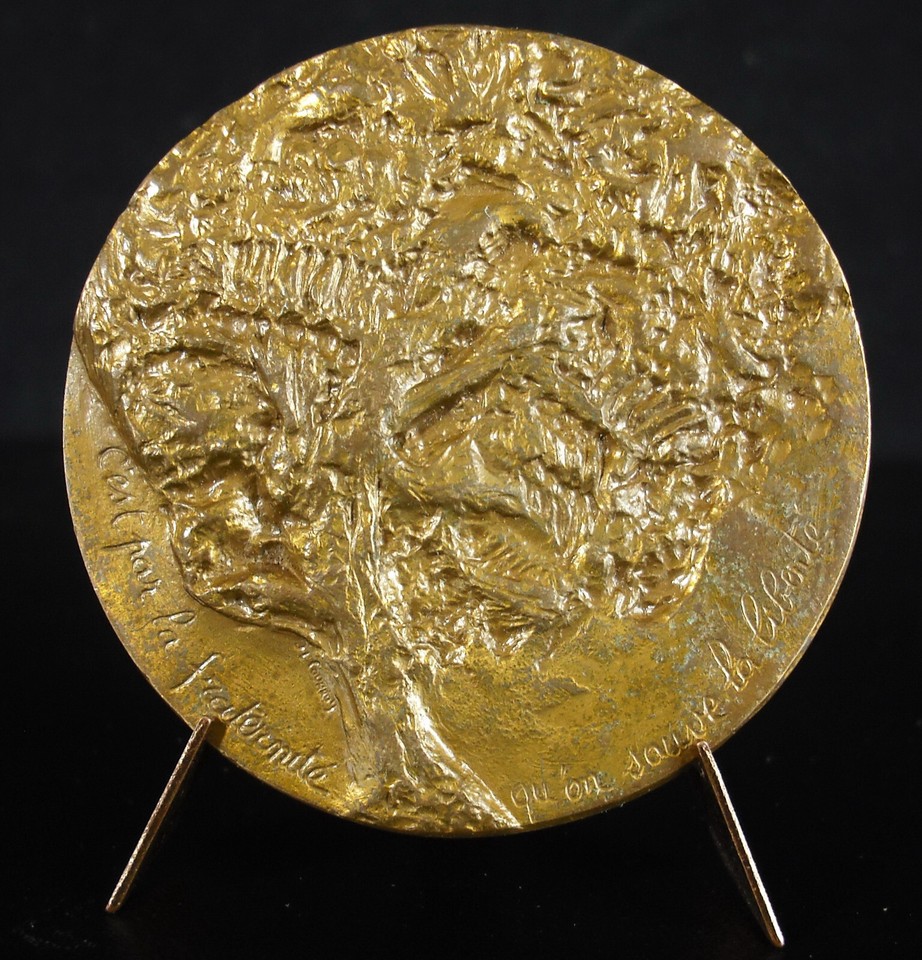 Unesco Medal 1985 Victor Hugo "It is through brotherhood that we save ...