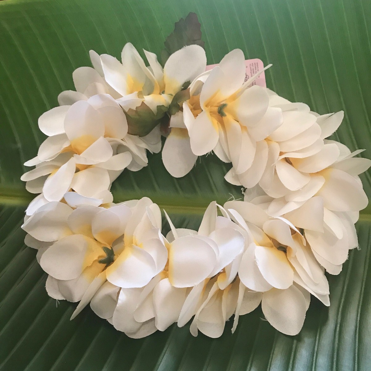 Hawaiian Plumeria Flower Lei Fresh Flower Hawaiian Leis Shipped Online