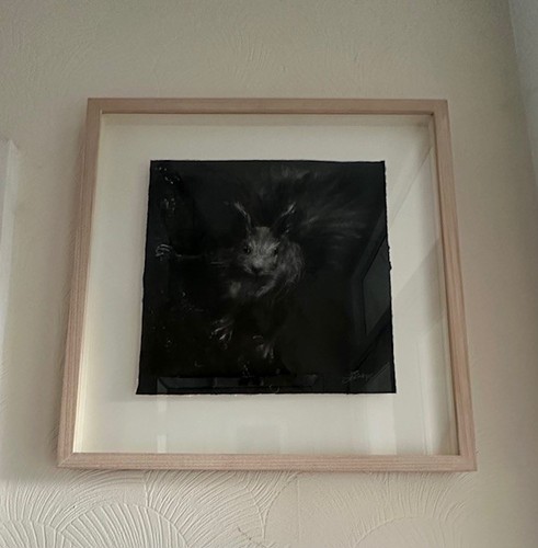 ERICA SHARPE Original Art Contemporary Charcoal & Chalk Squirrel Titled ...