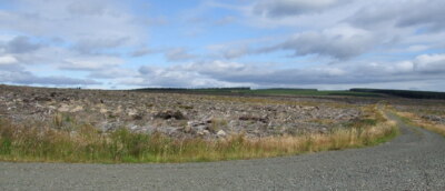 Photo 6x4 Comb Forest Swan Shank View across the forest from near ...