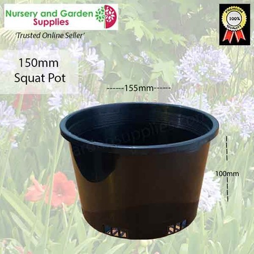 150mm Squat Plant Pot (Height 100mm) - Lots of holes - Std thickness ...