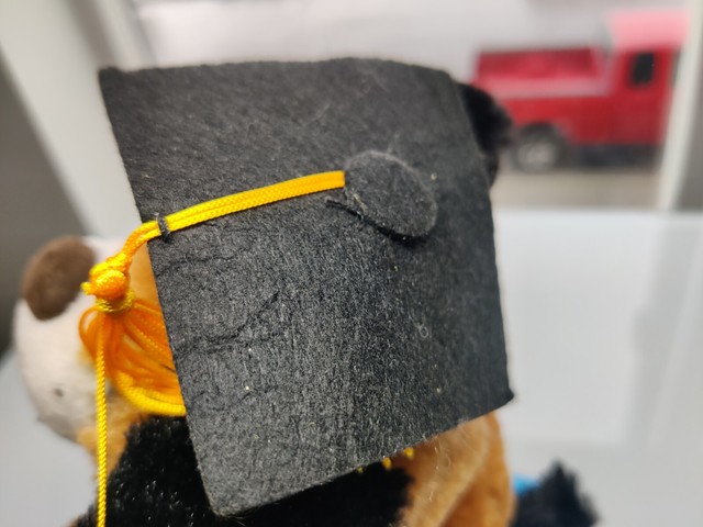 Graduation Animated Plush Sings and Dances Celebration Dan Dee Intl ...