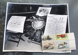 guilol | eBay Stores