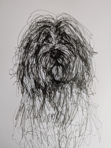 Long Haired Dog Illustration Drawing Unframed A4 Home Gift Xmas ...
