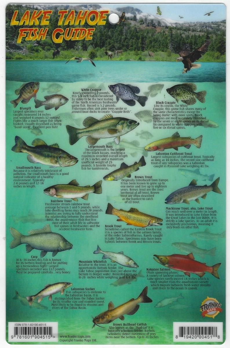 Lake Fish Chart