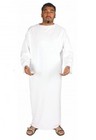 ADULT BIBLICAL ROMAN GREEK GOD TOGA COSTUME GOWN ROBE TUNIC SHEPARD ...