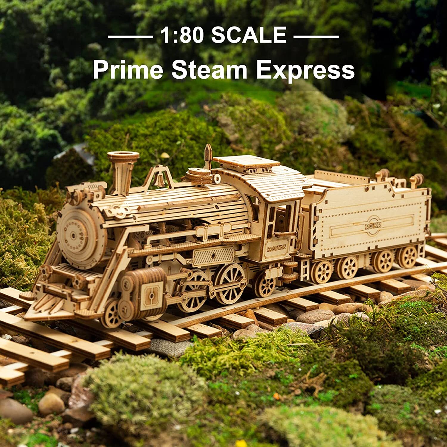 ROKR Steam Express Train 3D Wood Puzzle DIY Building Model Kit Kids Toy ...