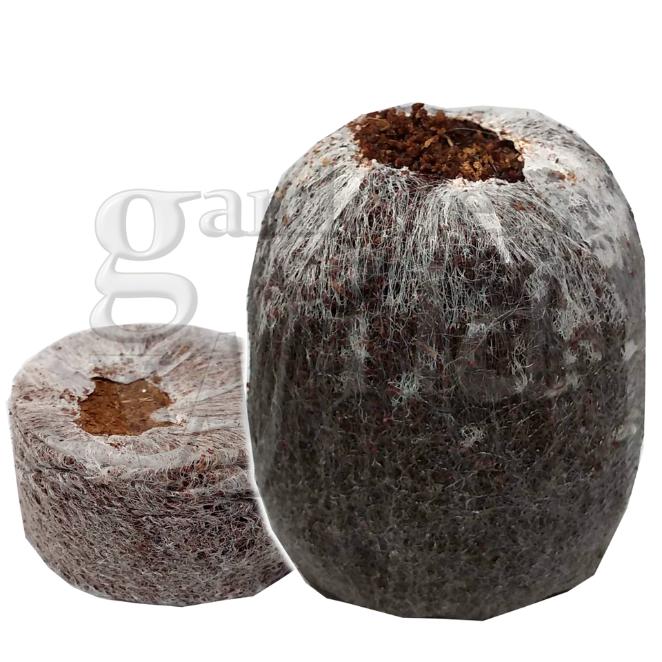 Jiffy-7C COCO COIR PLUGS PELLETS plant propagation cuttings seed ...