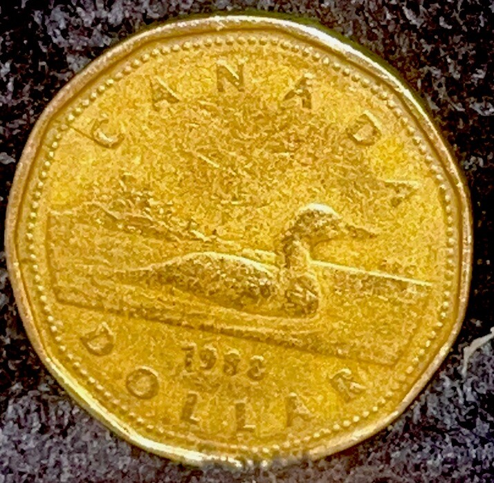 Three Rare 1988 Canadian Loonie 1 dollar coins | eBay