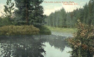 Little Lake Stanley Park Vancouver British Columbia Canada Souvenir ...