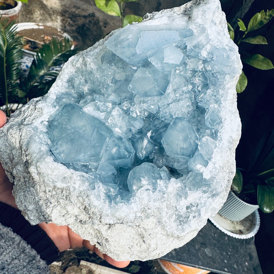 2718g Natural Blue Celestite Crystal Geode Cave Mineral Specimen ...