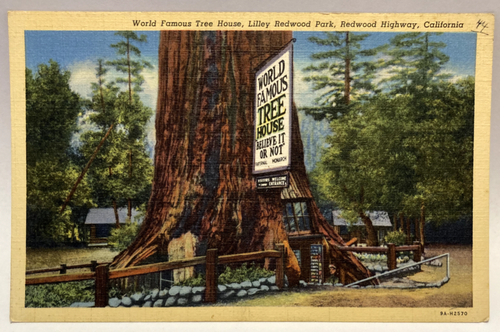 World Famous Tree House, Lilley Redwod Park, Redwood Highway California ...