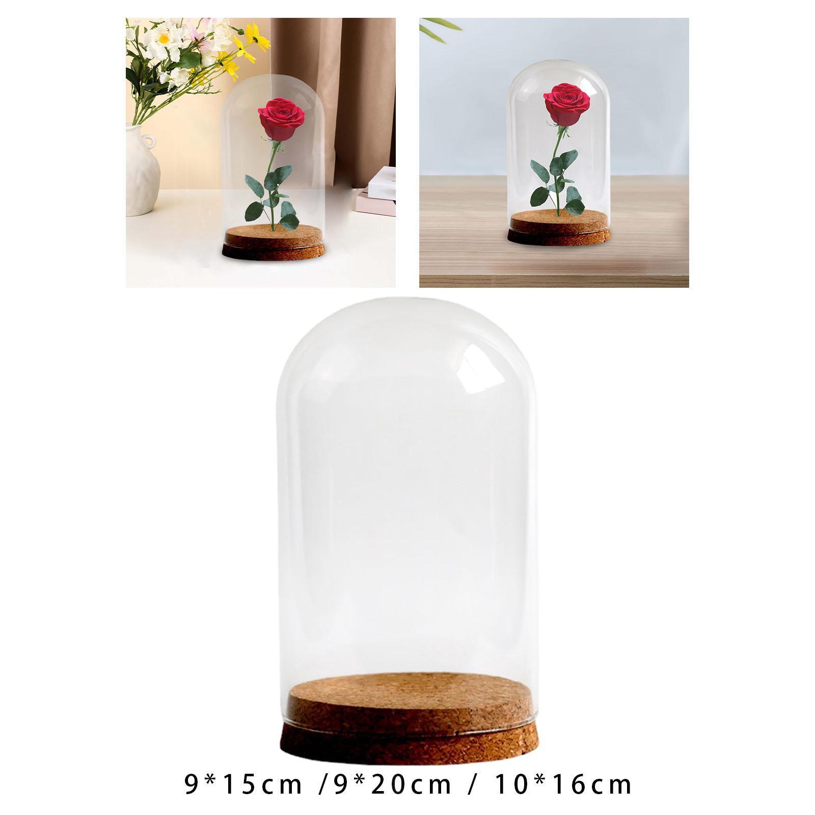 Preserved Flower Glass Cover Glass Dome Cover for Desk Festival Coffee ...