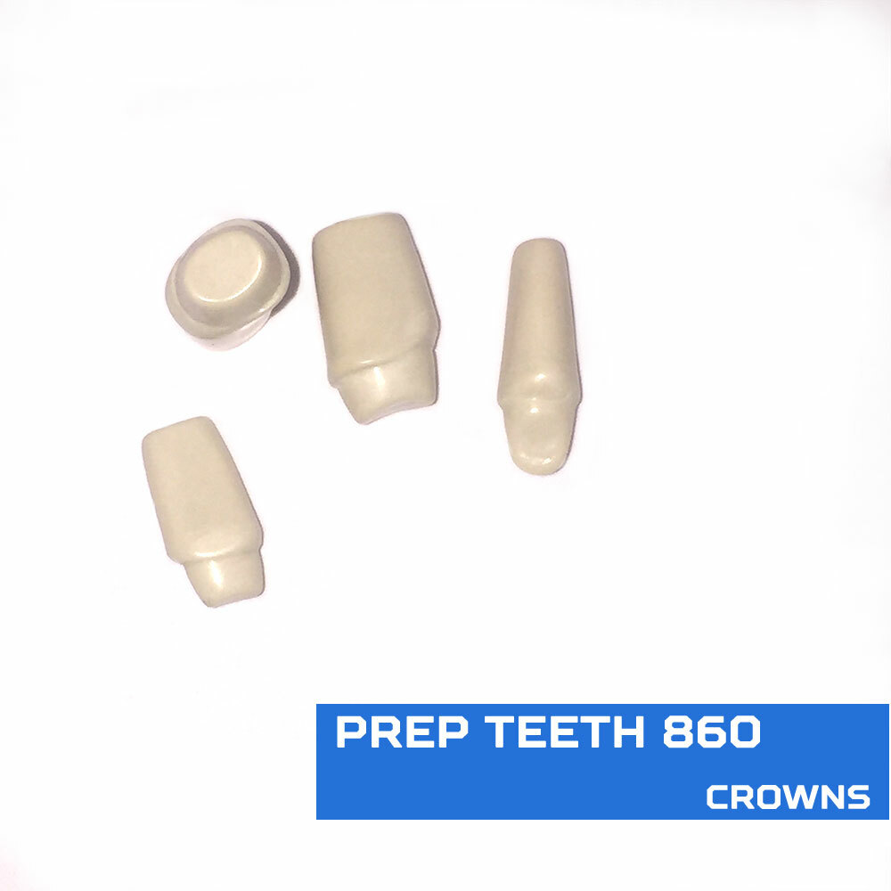 Ivorine Teeth Typodont 860 - Crown Prep 5 PACK Compatible w/ Columbia ...
