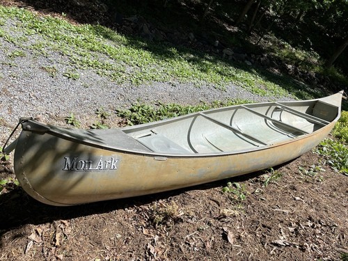 Canoe | eBay