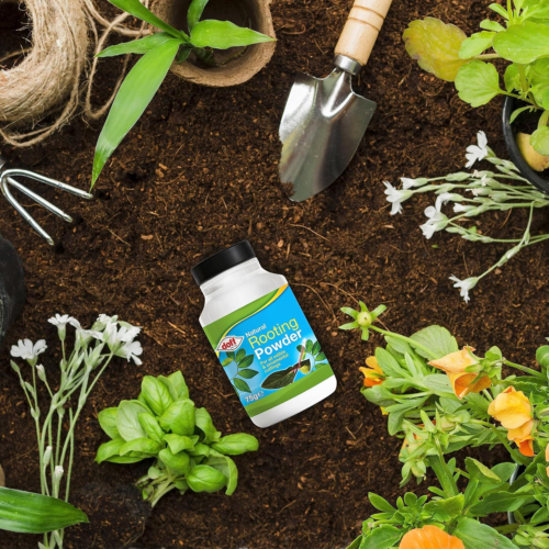 Doff Natural Rooting Powder 75g Natural Hormone Rooting POWDER FOR ...