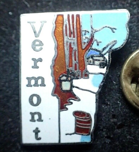 Vintage Vermont State Pin | eBay