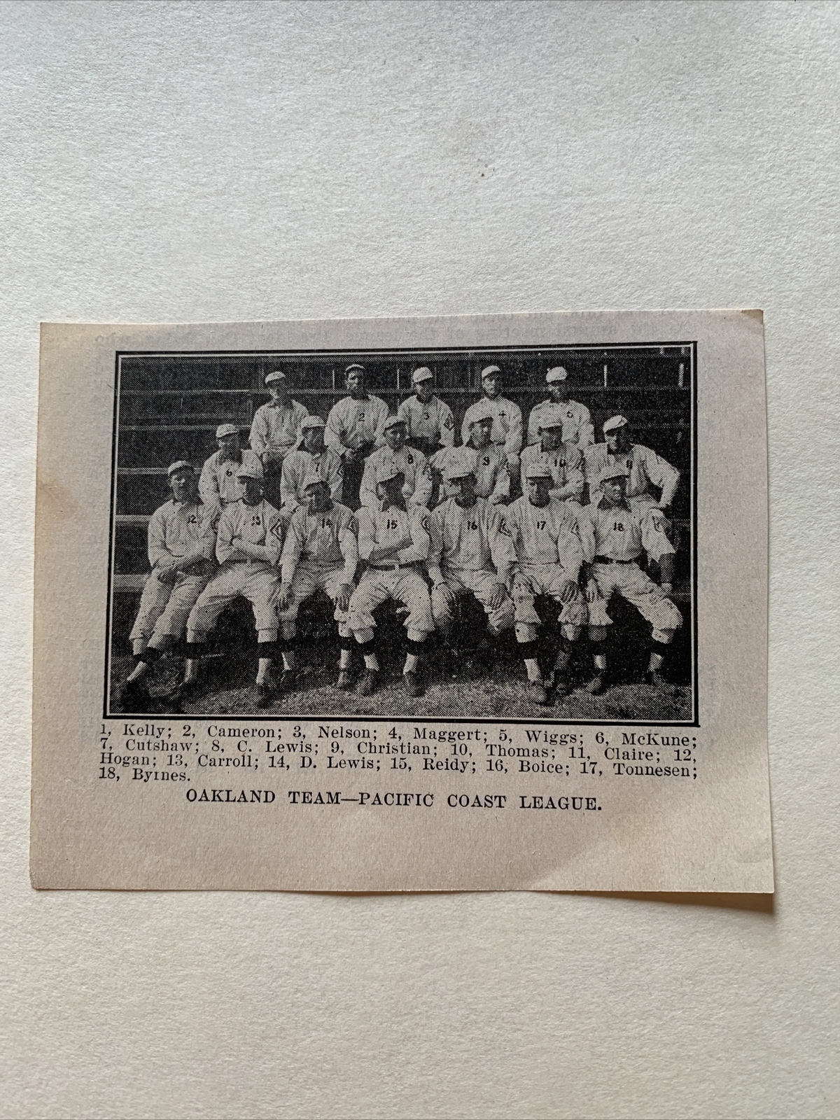 Oakland Oaks Duffy Lewis George Cutshaw J. Wiggs 1909 Baseball Team ...