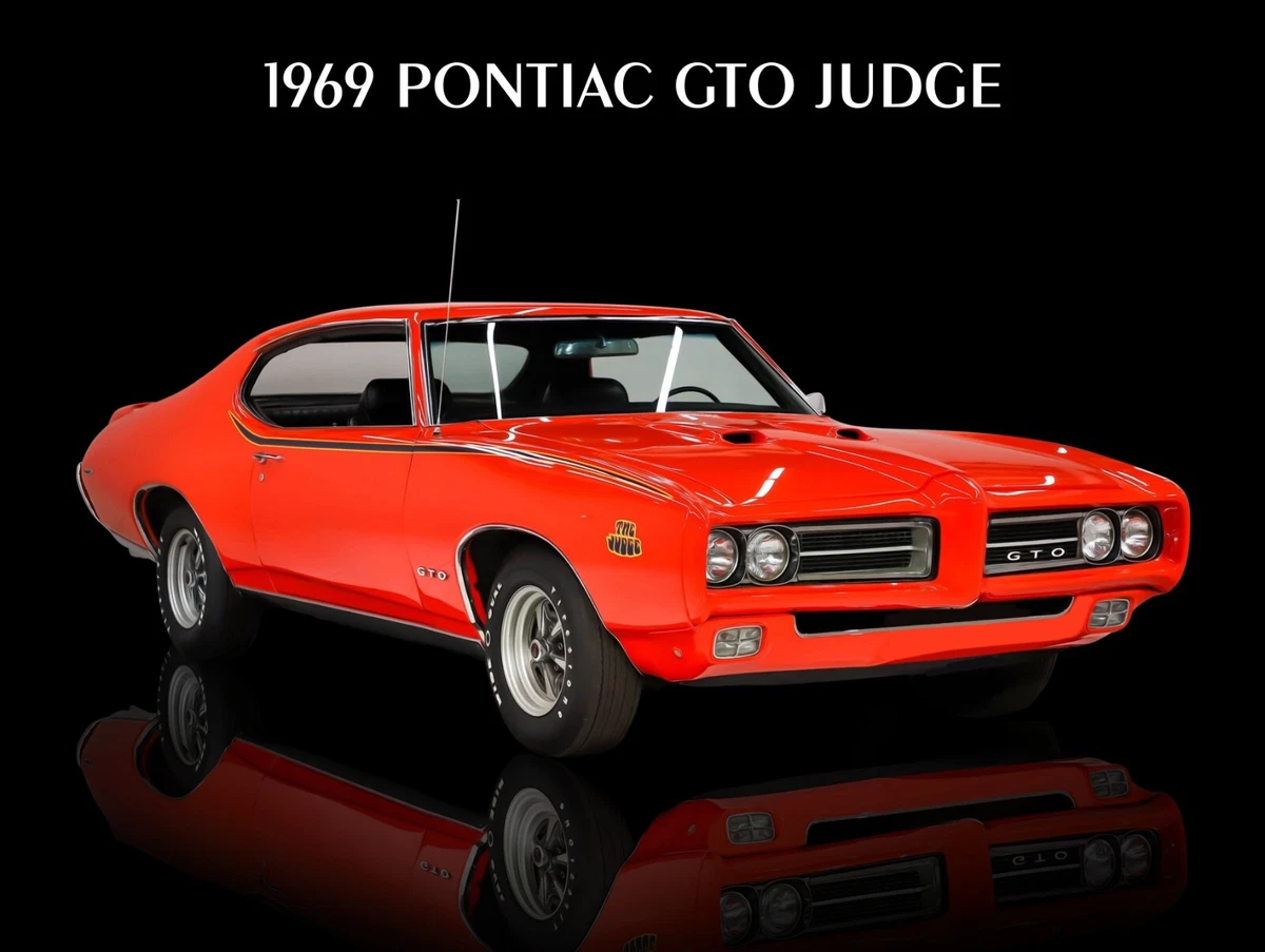 Gto Judge Orange