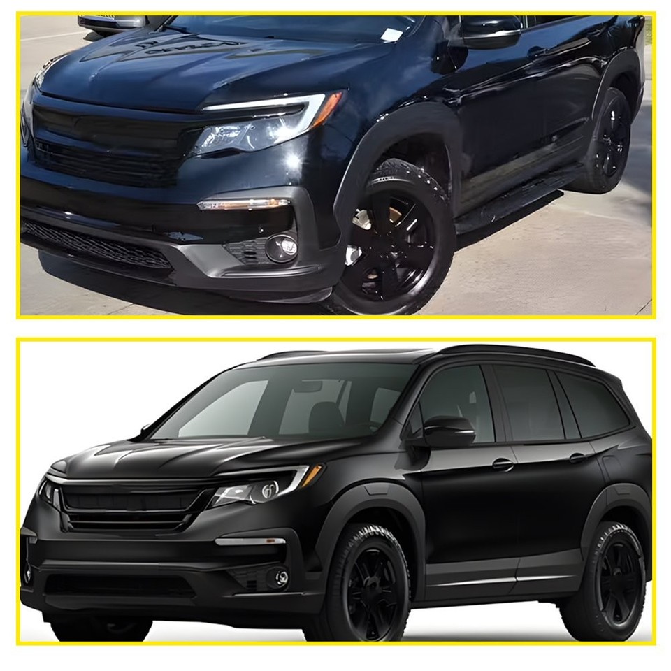 Black Front Bumper Fog Light Cover For 2019-2022 Honda Pilot Left Right ...