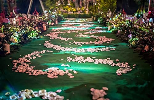 Aisle Runners Wedding Aisle Runner Carpet Rugs for Step 2x15 Feet Grass ...