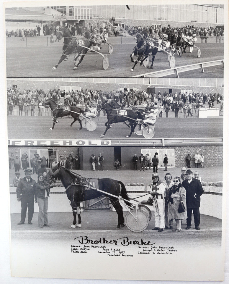 1977 Horse Harness Racing Freehold Raceway New Jersey Race Photos ...