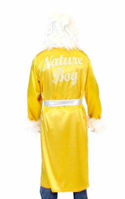 Unisex WCW Replica Ric Flair Costume Robe & Wig Halloween Cosplay ...