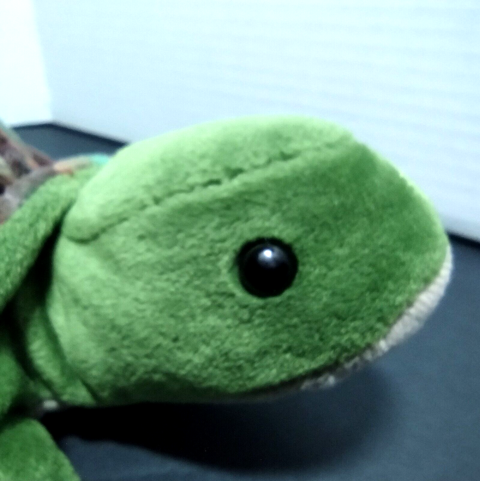Gund 10" Sea Turtle Plush Made Exclusively for Nautica & World Wildlife ...