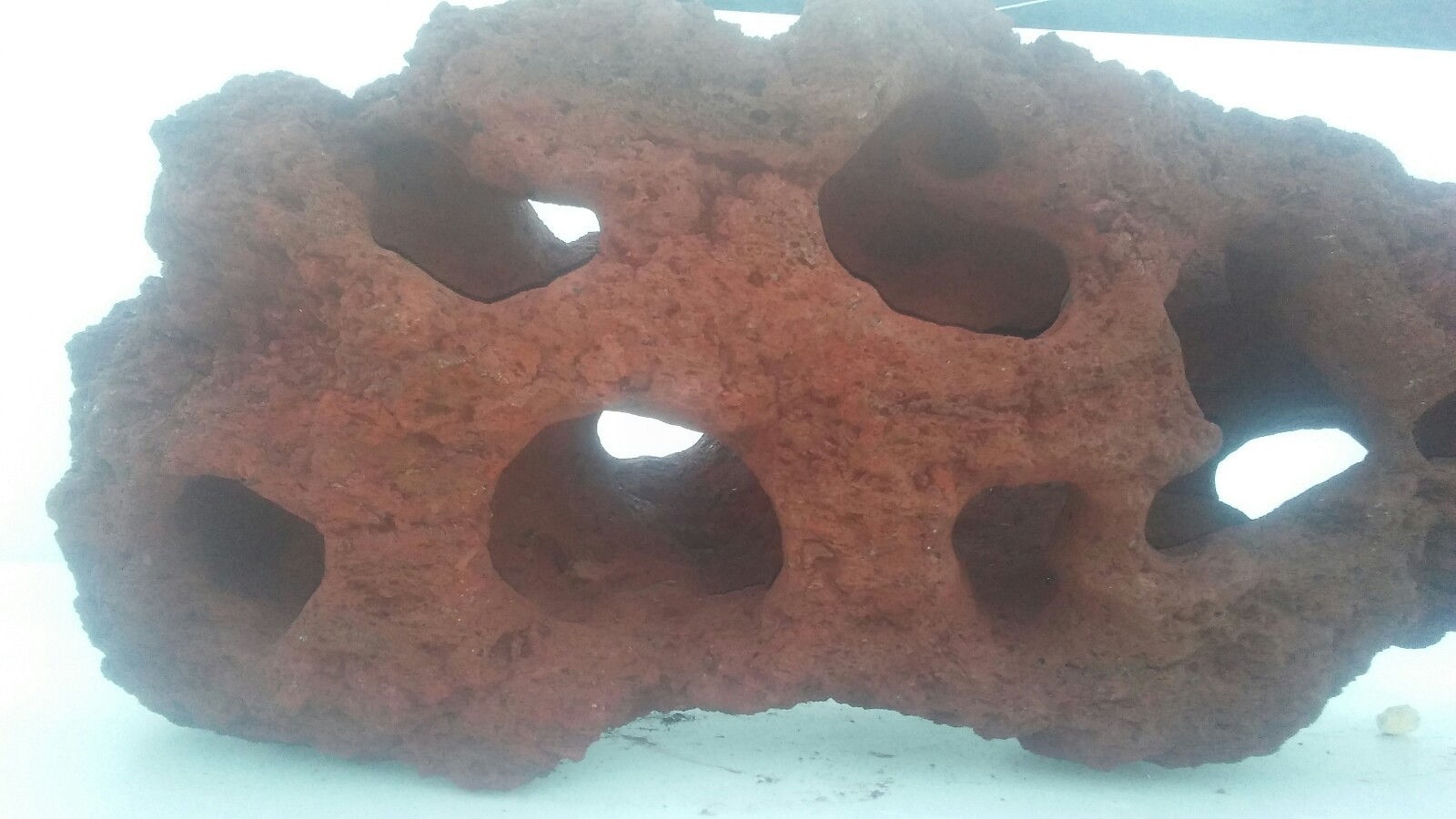 Cichlid Fish tank aquarium labyrinth swim through cave red lava holey ...