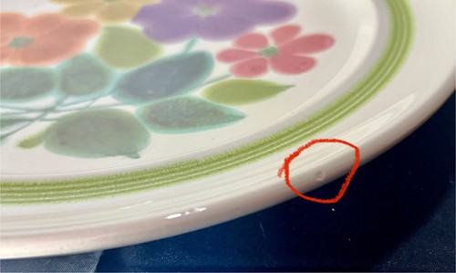 Vintage Franciscan ware earthenware Cottage BoHo dinner plate Floral ...