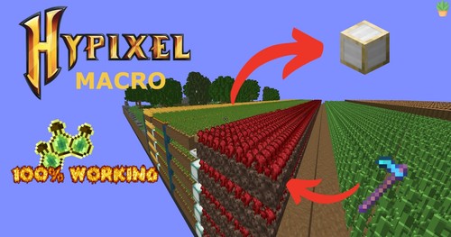 Minecraft Hypixel Macro for Farming | Garden | Fast delivery, exe file | eBay