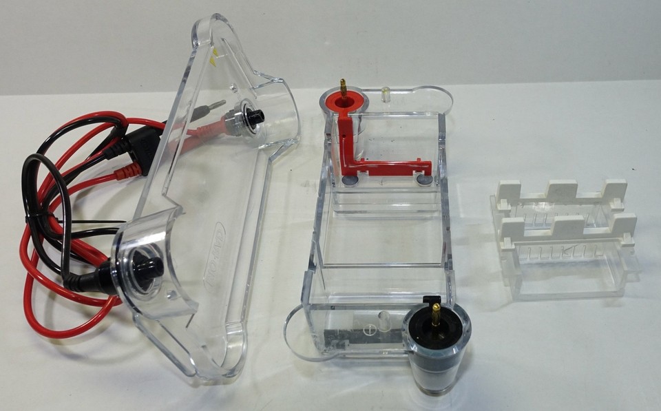 Bio-Rad Mini-Sub Cell GT DNA Electrophoresis Systems, Tray & 2 Combs ...