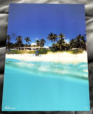 Dormify Matte Beach Poster (9"x12") | eBay