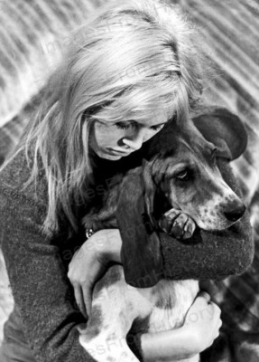 8x10 Print Brigitte Bardot Hug her Dog Cute #BB72 | eBay