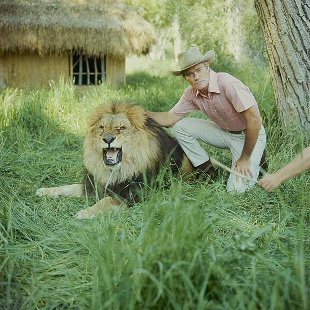 CHUCK CONNORS Cowboy in Africa 1967 OLD TV PHOTO 17 | eBay