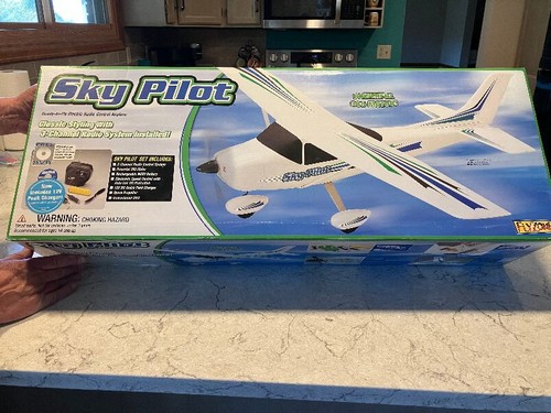 Flyzone Sky Pilot RC Trainer Airplane - RTF Version. | eBay