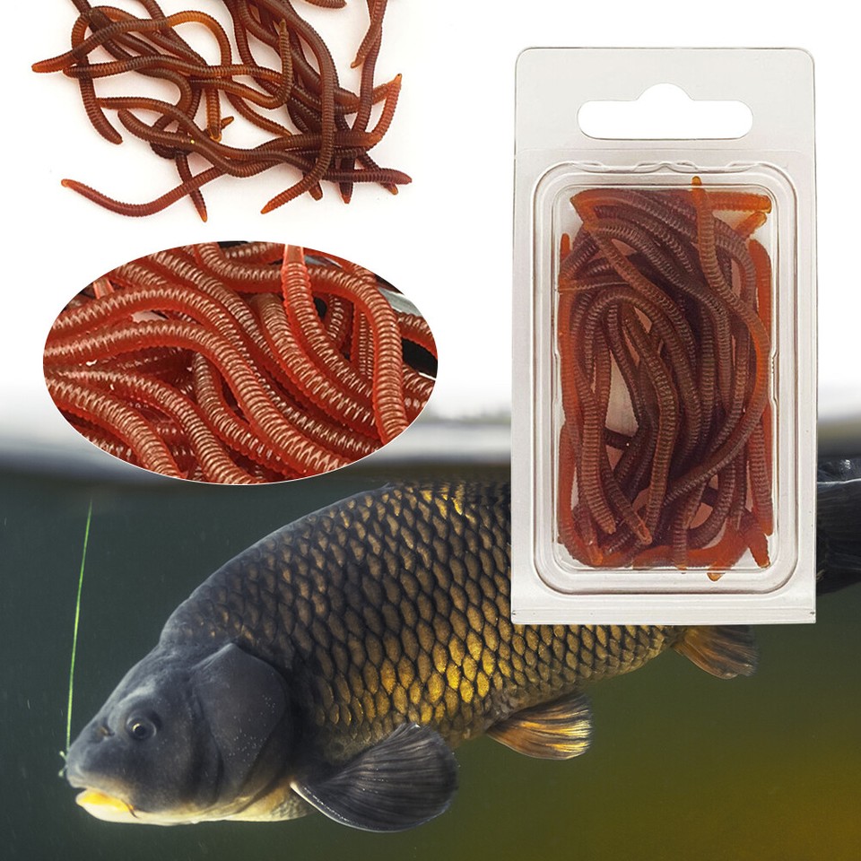 ~ 20Pcs Earthworm Bait Bass Fishing Worms Brown Lifelike Worm Lure for ...