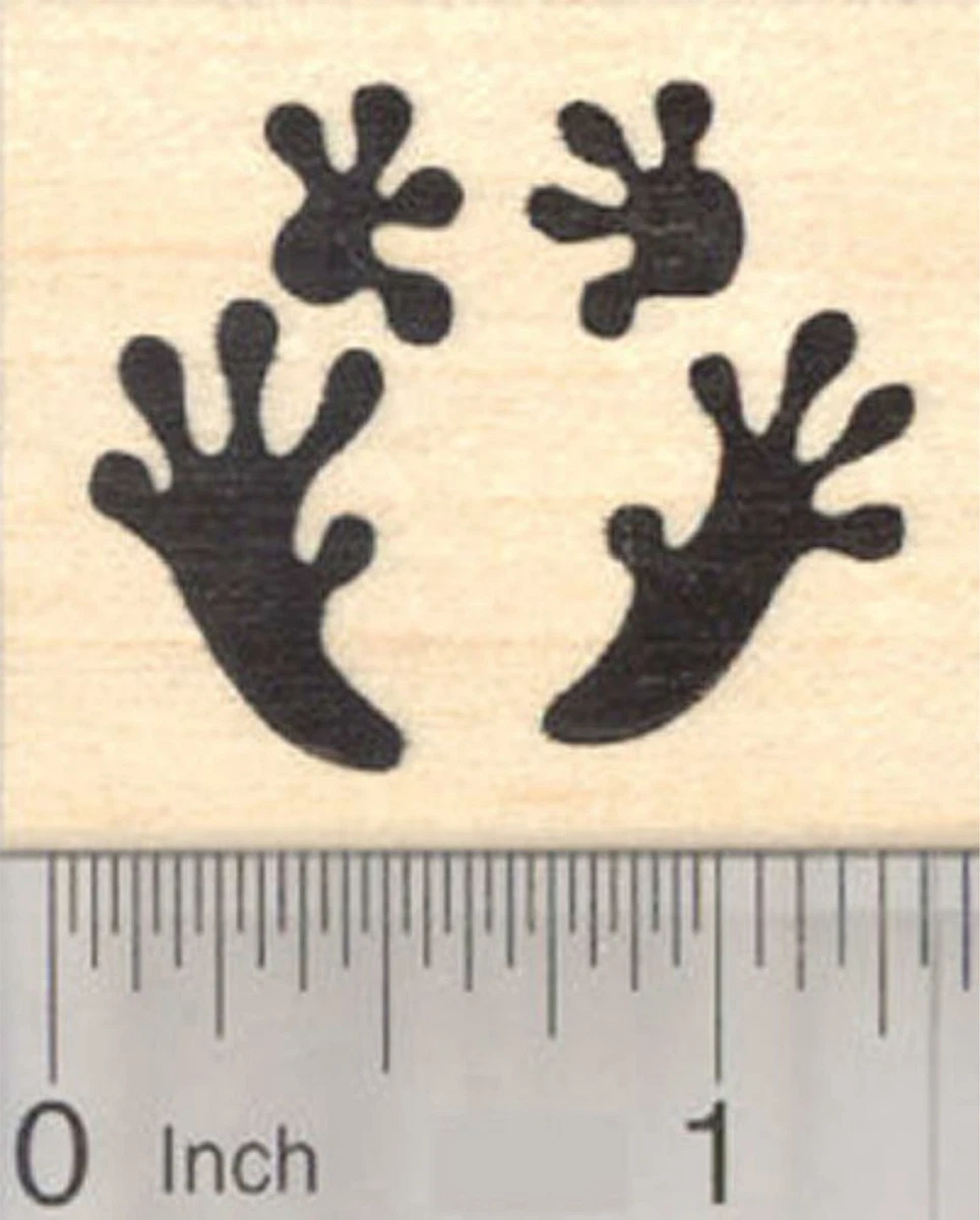 Frog Footprints