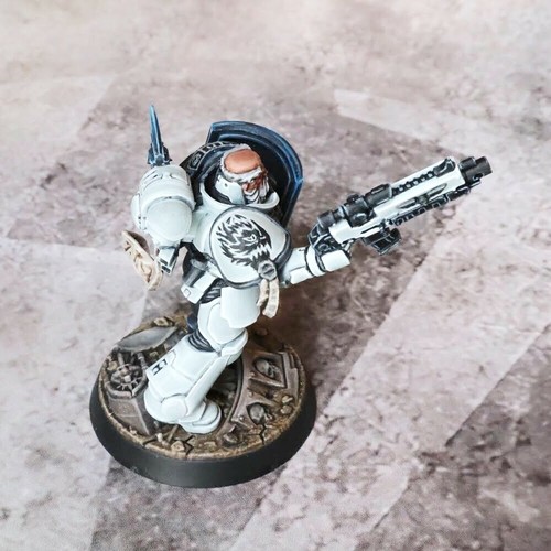 Primaris Space Marines Stormcast Eternals conversion - Pro Painted ...