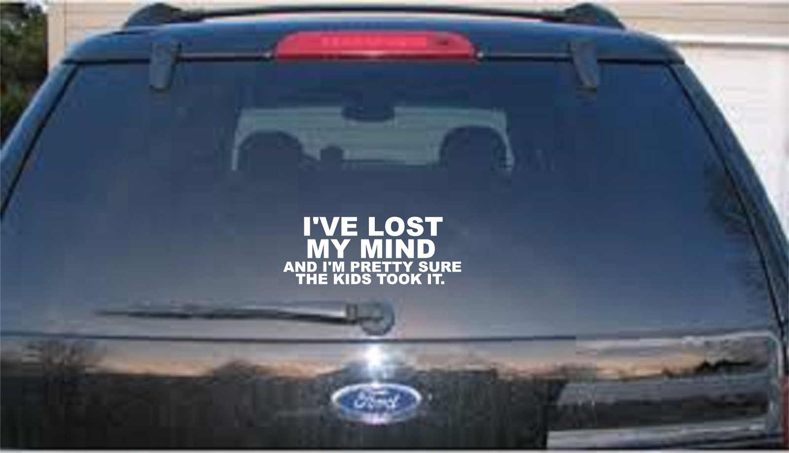 Funny "I've Lost My Mind" 6" wide decal Sticker For Cars,Trucks,Laptops ...